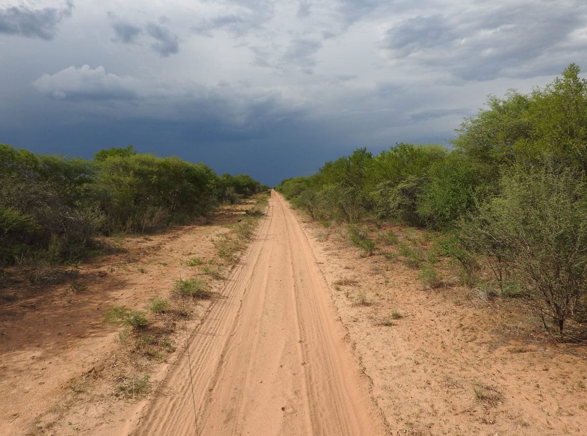 Hunting In Botswana | Montefeltro