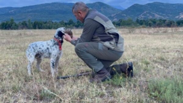 Quail Hunting In Macedonia | Small Game | Montefeltro