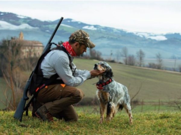 Hunting Pheasants In Italy | Pointing Dogs | Montefeltro